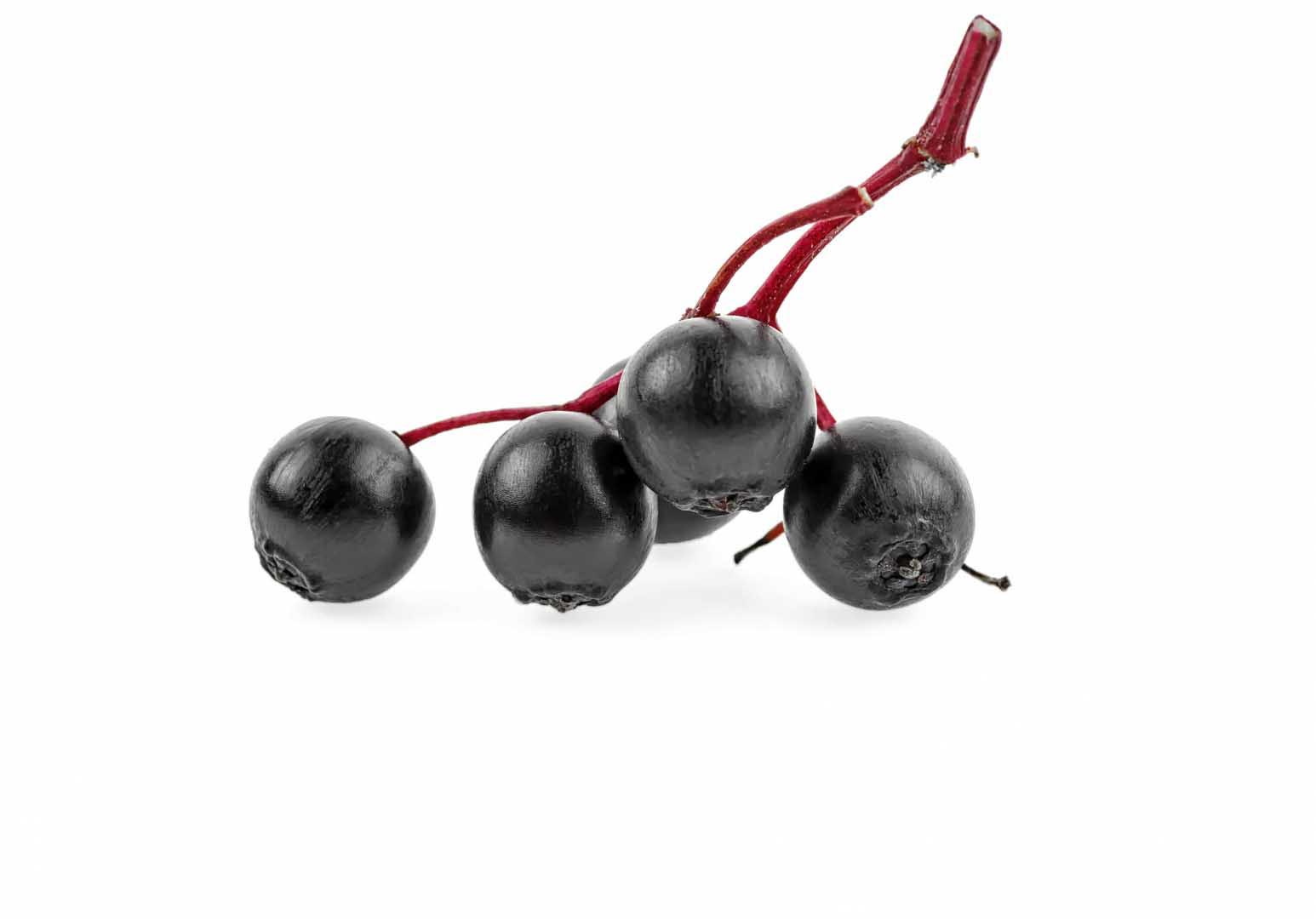 Sambuco | Proprietà | Benefici e Raffreddore | Funziona? | X115®