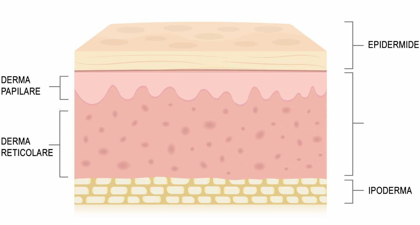 Gommage | Cos'è? | Come si Esegue? Tipi e Benefici | X115®