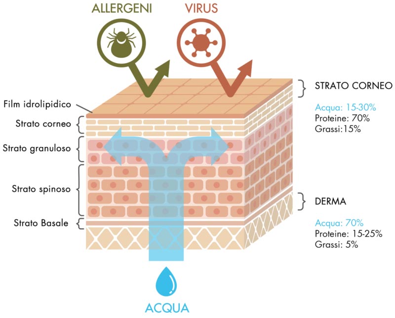Idratazione della Pelle | Da Cosa Dipende, Come Aumentarla | X115®