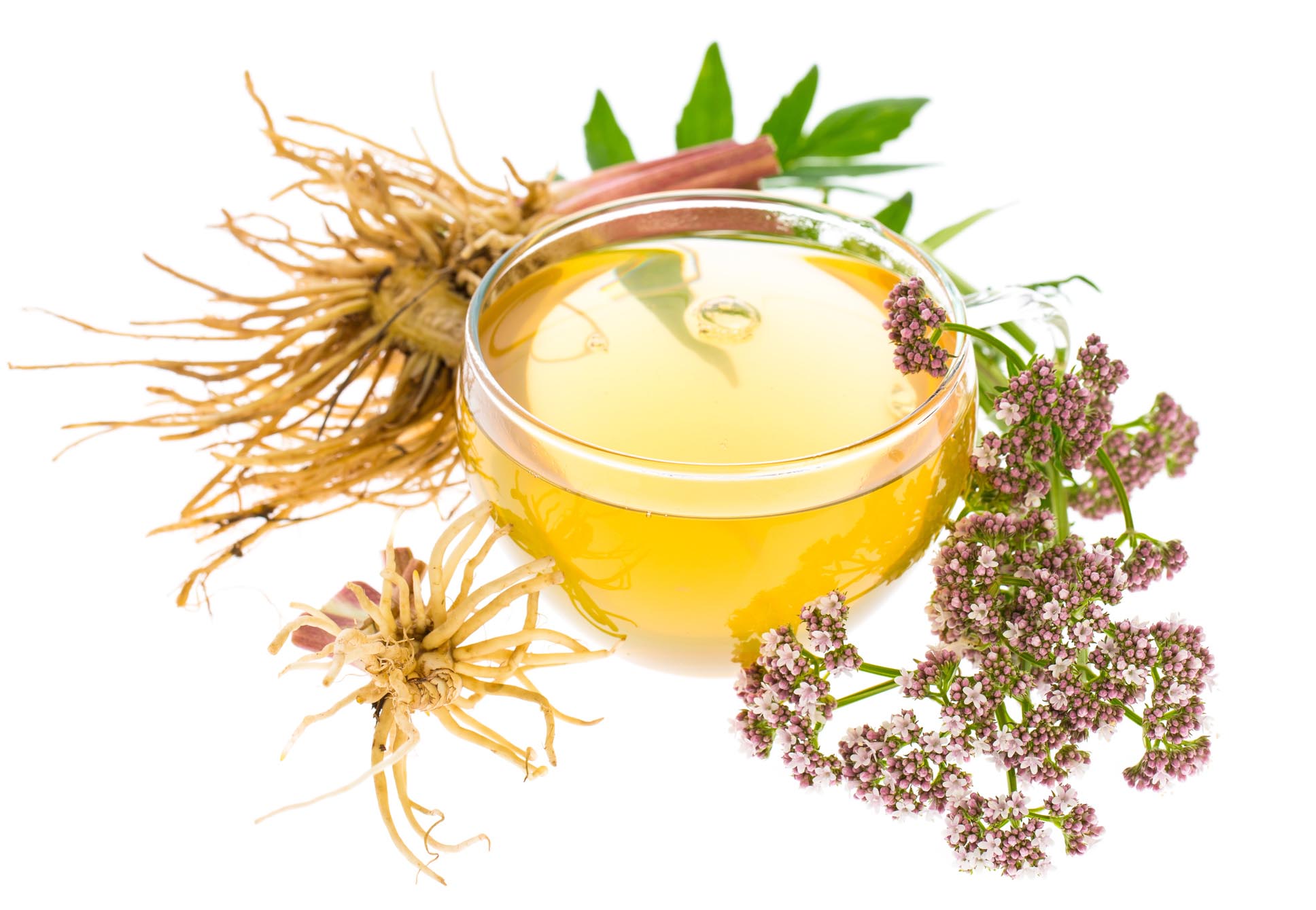 Valeriana | Benefici, Proprietà | Dosi e Controindicazioni | X115®