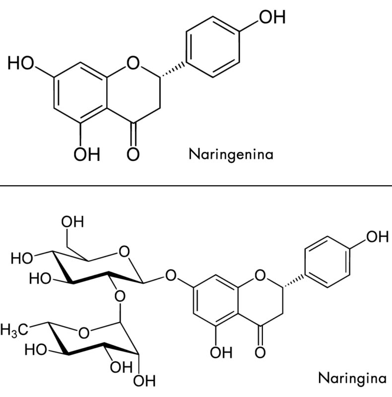 Naringenina | Funzioni, Alimenti | Benefici per la Salute | X115®