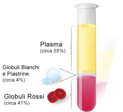 Ematocrito Basso | Cause, Sintomi | Cosa Fare, Cosa Mangiare | X115®
