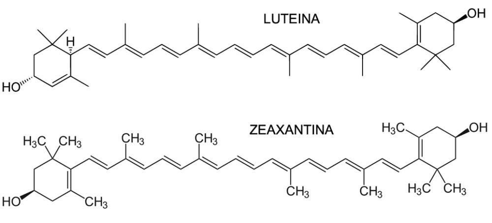 Luteina e Zeaxantina | Benefici, Alimenti, Modo d'Uso